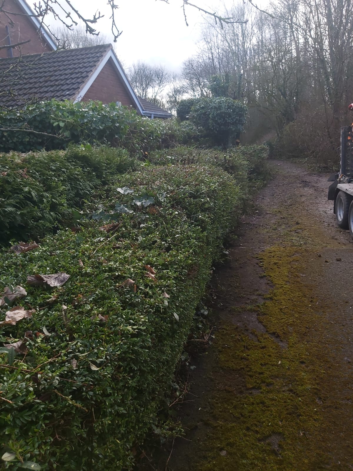 Land Clearance Project - Highfield Tree Care Arborists & Surgeons